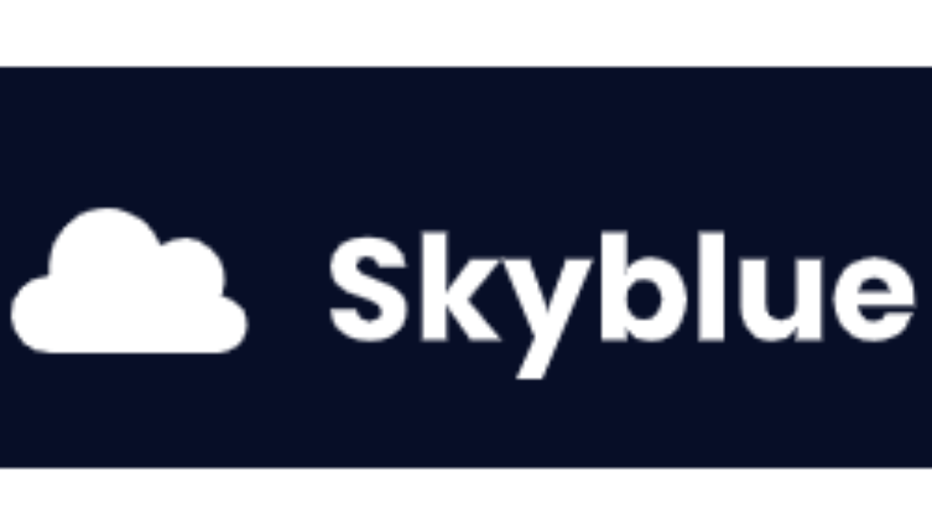 La uruguaya Skyblue Analytics avanza en ronda por US$ 1 millón - Startups Latam