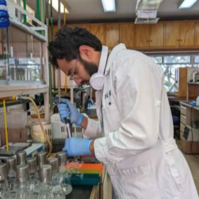 Eliseo Molina Vazquez - Startups Latam