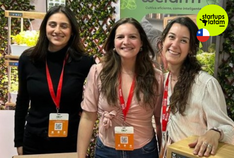 Wefarm revoluciona la agricultura en San Pedro de Atacama con huertos ...