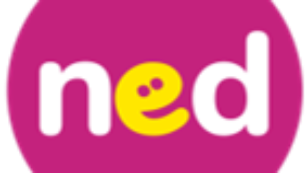 NED SYSTEM - Startups Latam